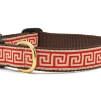 Collars Archives | Waggs to Riches